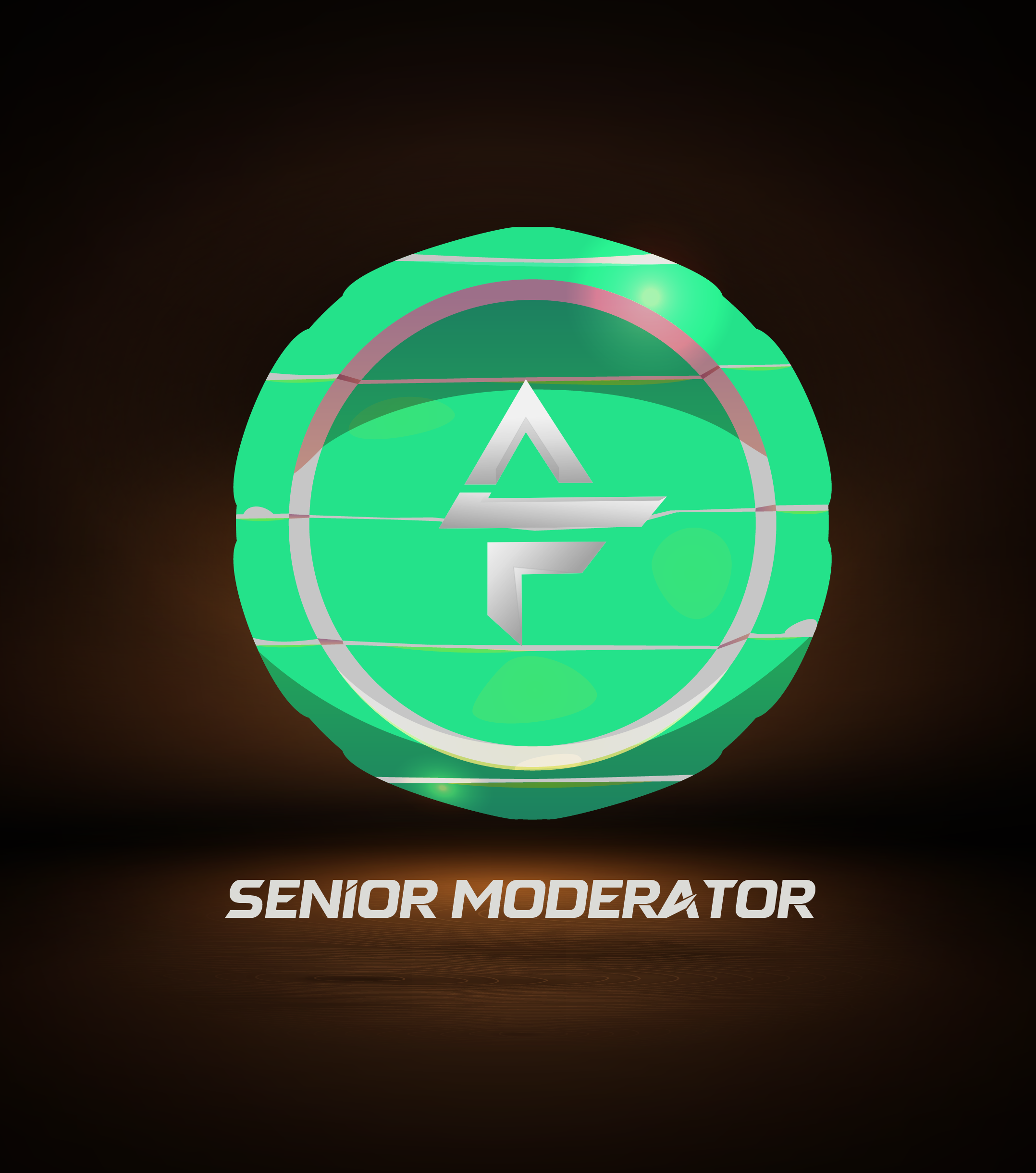 Senior-Moderator Team - €188.99